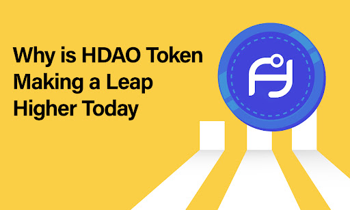 Why is HDAO Token Making a Leap Higher Today | The Markets Café