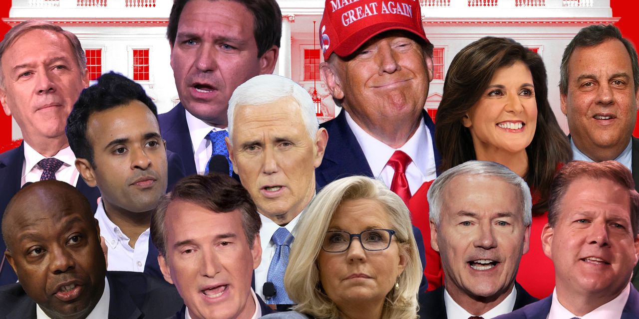As Biden says he's 'planning on running,' here are the potential 2024 ...