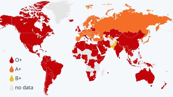 These Are The Most Common Blood Types Around The World | The Markets Cafe