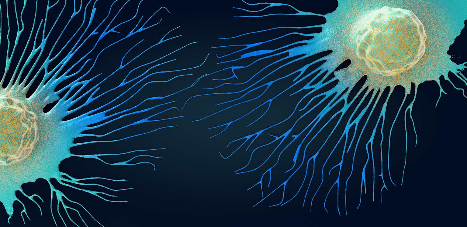 Replimune: The Rise Of Oncolytic Virus Therapies In Cancer Treatment ...