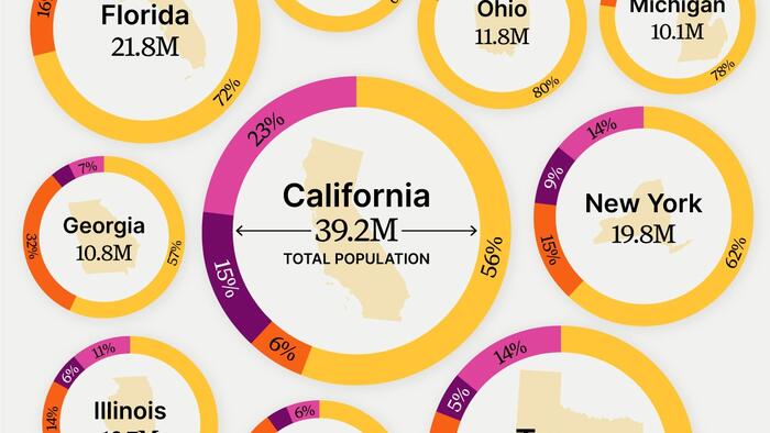 Visualizing Racial Diversity In America's 10 Largest States | The ...