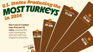 These Are The US States Producing The Most Turkeys In 2024 | The ...