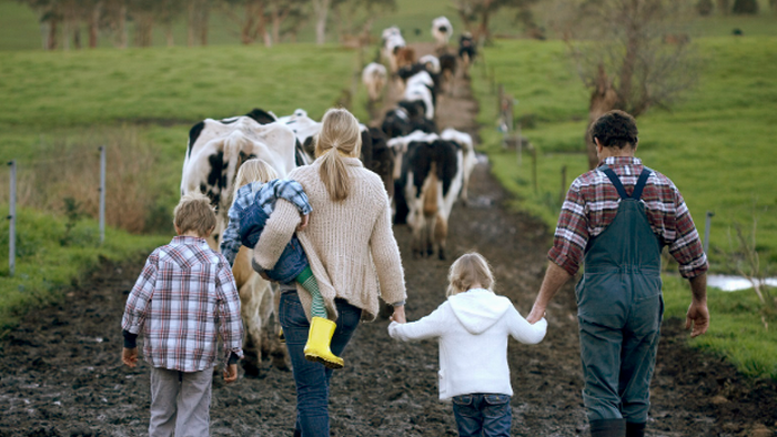 Two Alarming Truths: Family Farms Vanishing & Centralized Beef Industry ...